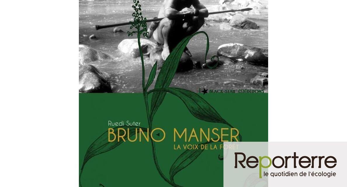 Bruno Manser, l’homme qui voulait sauver le peuple de la forêt | OnePlanete