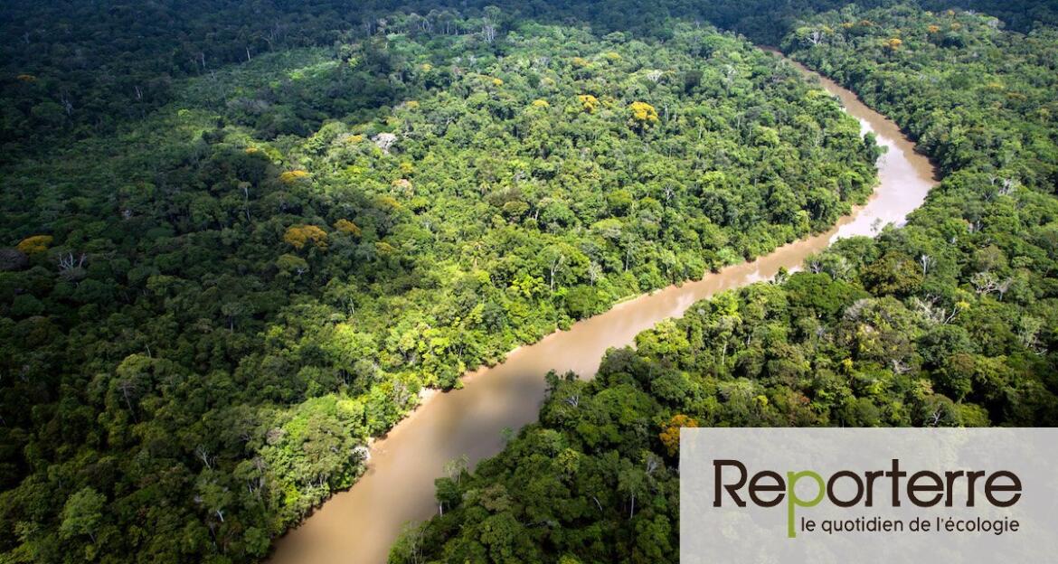 En Guyane, le combat contre les mines d’or industrielles continue ...