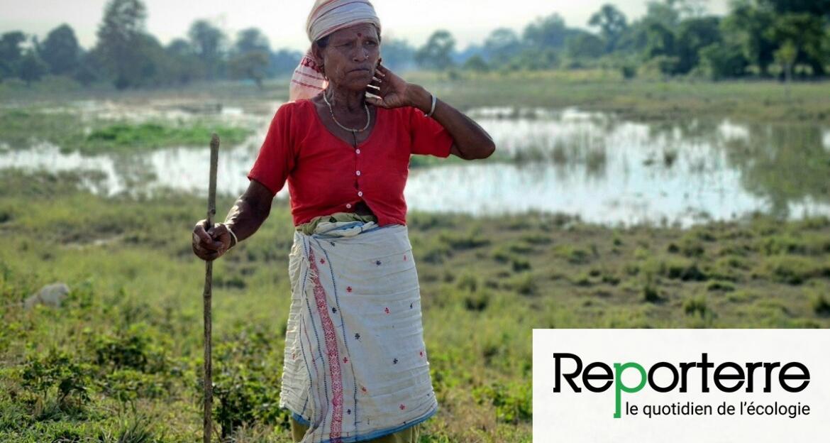 En Inde, les crues du Brahmapoutre sont devenues « invivables ...
