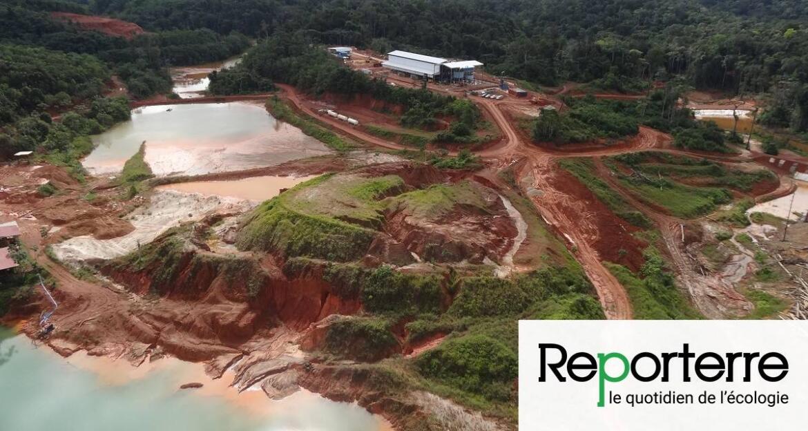 Du cyanure pour extraire de l’or : en Guyane, une usine « préoccupante ...