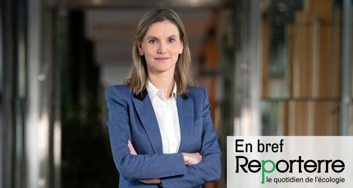 Engie, Perenco, Macquarie, les entreprises de la ministre de la ...