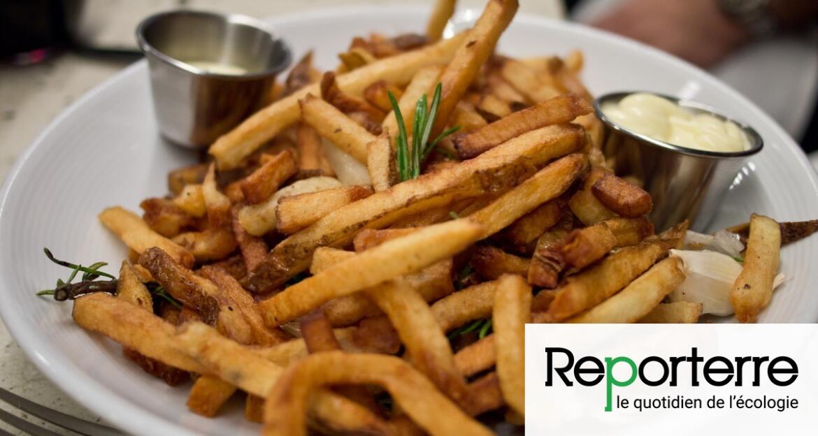 Frites, fromage, miel… Ces aliments qui pourraient nous manquer cet ...