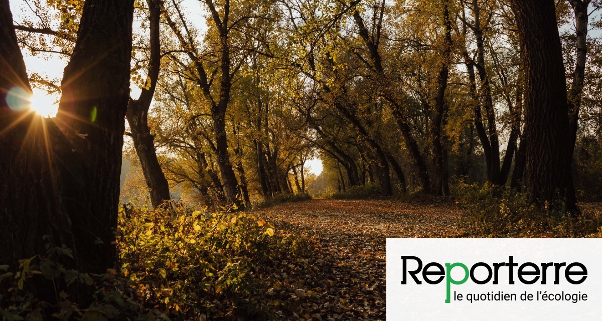 30 °C mi-octobre : où est passé l'automne ? | OnePlanete