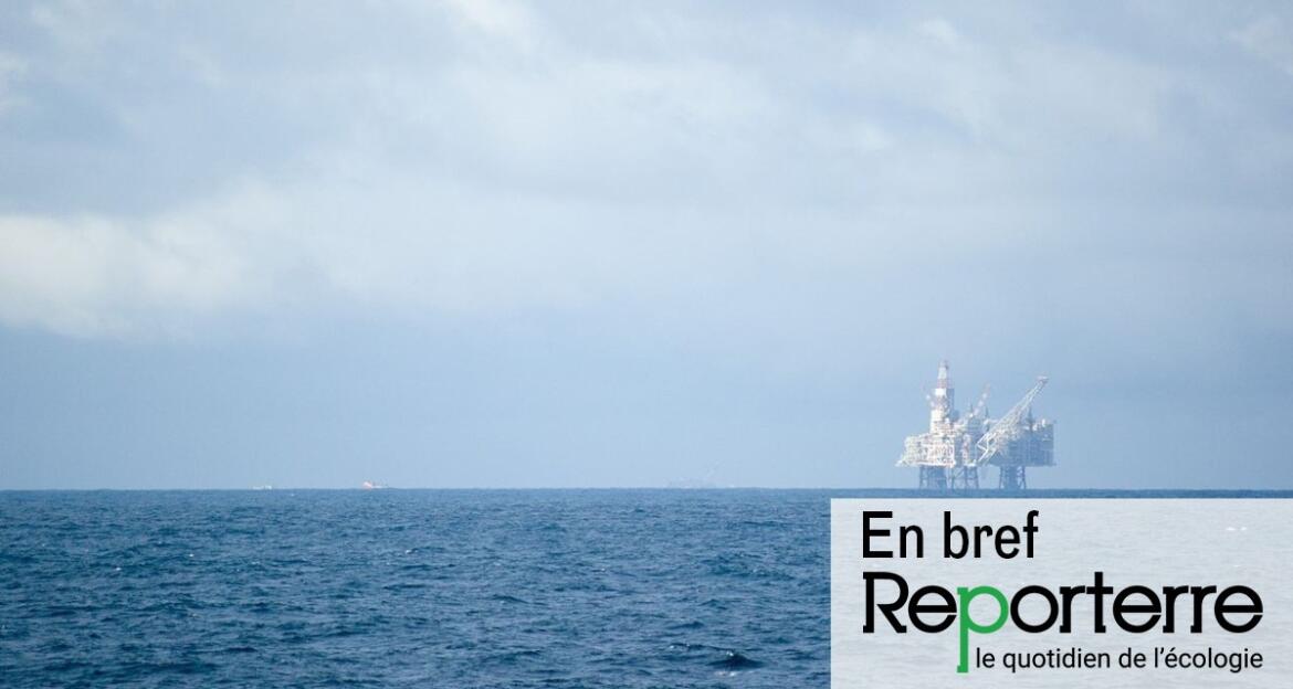 TotalÉnergies s'apprête à saccager la mer sud-africaine | OnePlanete