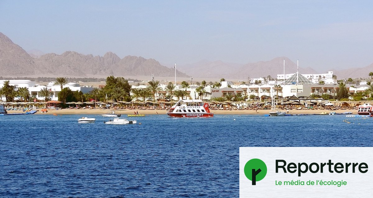 COP27 : Avion, bus climatisés, touristes… bienvenue à Charm el-Cheikh ...