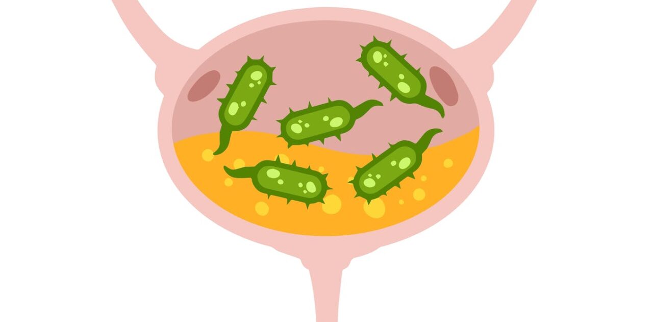 Infection, incontinence… Quels rôles pour le microbiote urinaire ...