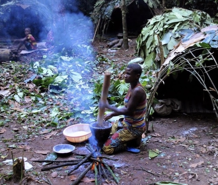 Histoire de la colonisation des Pygmées par les Bantous — Yves GUÉCHI ...