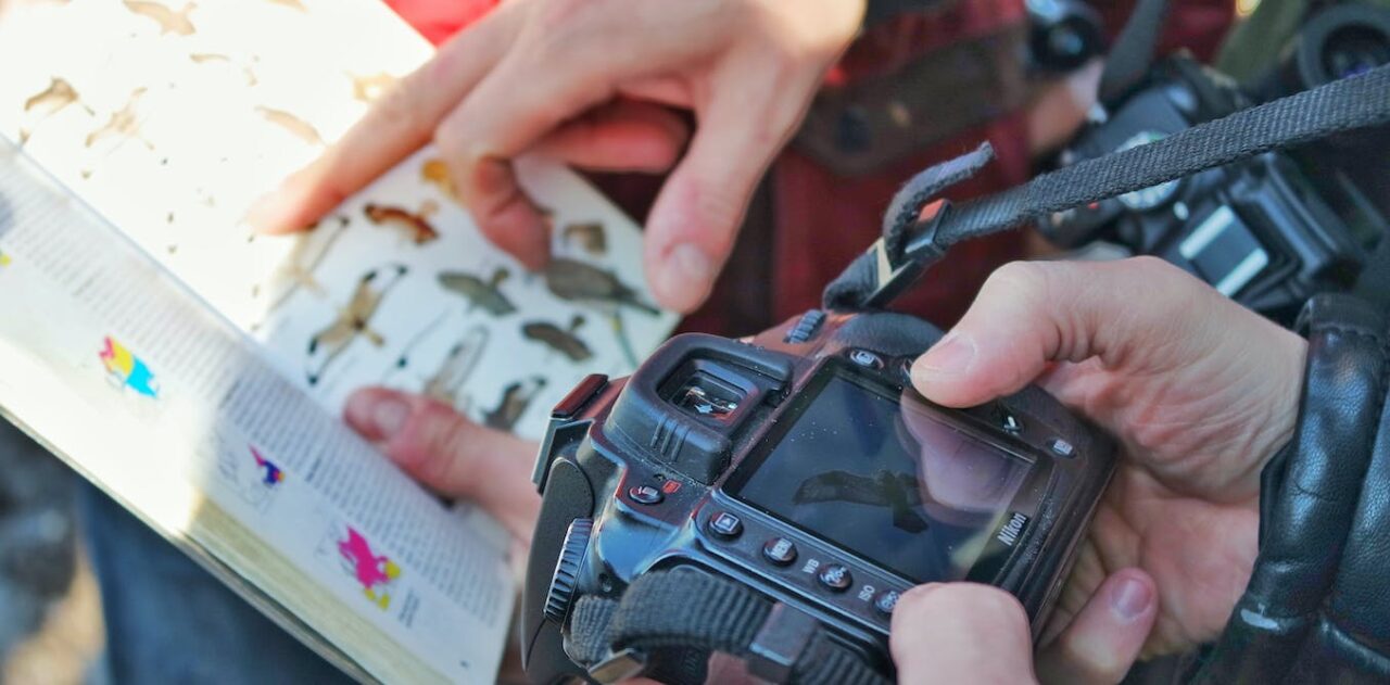 Recenser les oiseaux, identifier les plantes : les sciences ...