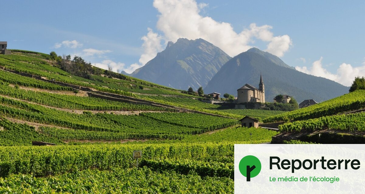 Un mois d'avril plus chaud que la normale, mais marqué par le gel ...