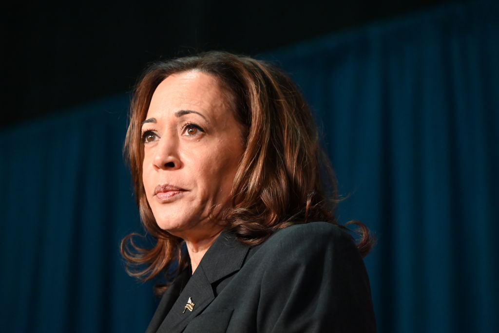 Billionaire Donor Wants Kamala Harris to Fire the FTC Chair | OnePlanete