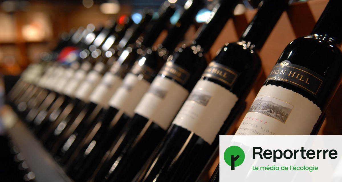 Pourquoi vous ne boirez pas de vin dans des bouteilles consignées ...