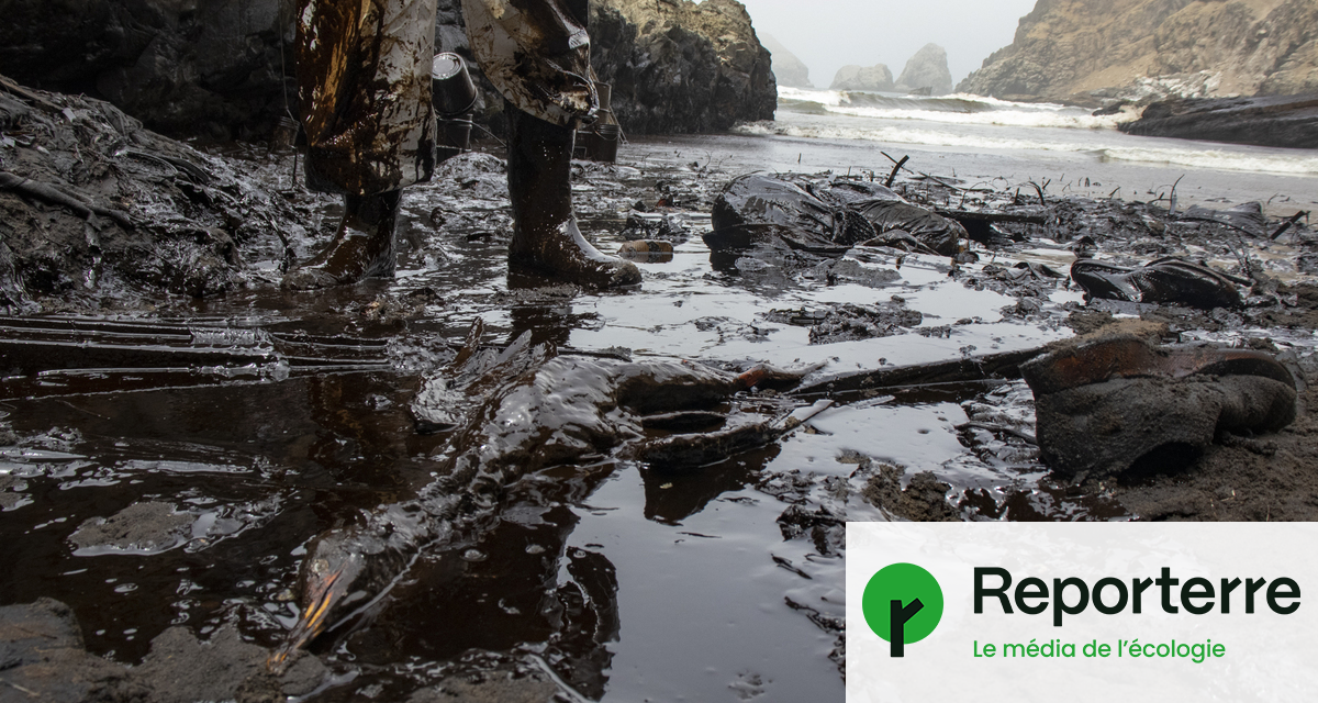 Marée noire en Russie : au moins 30 km de plages pollués | OnePlanete