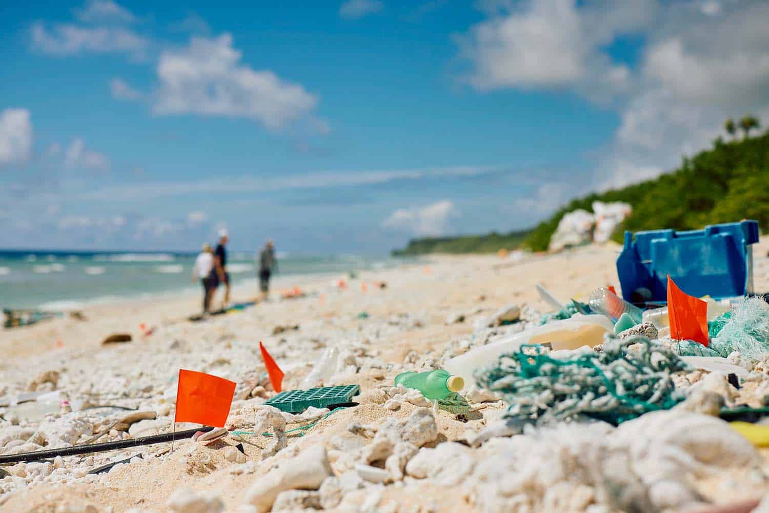 Dans l’océan Pacifique, l’île la plus polluée de la planète nettoyée ...