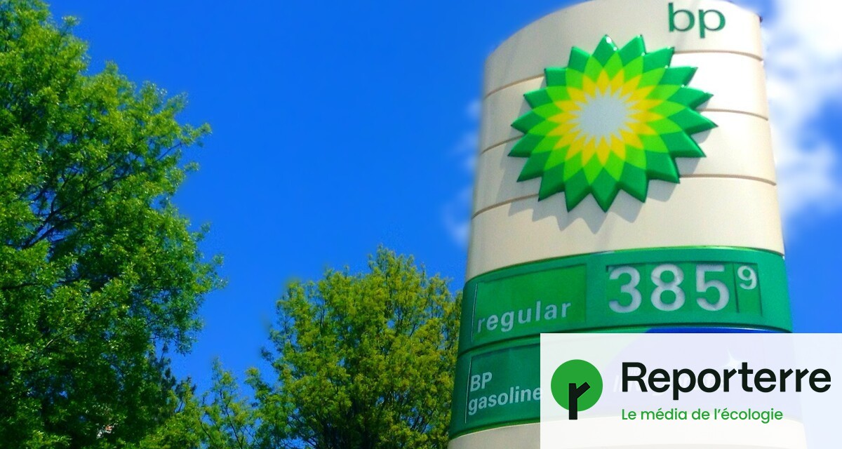 BP, Exxon, Shell… pourquoi les pétroliers réinvestissent à fond dans ...