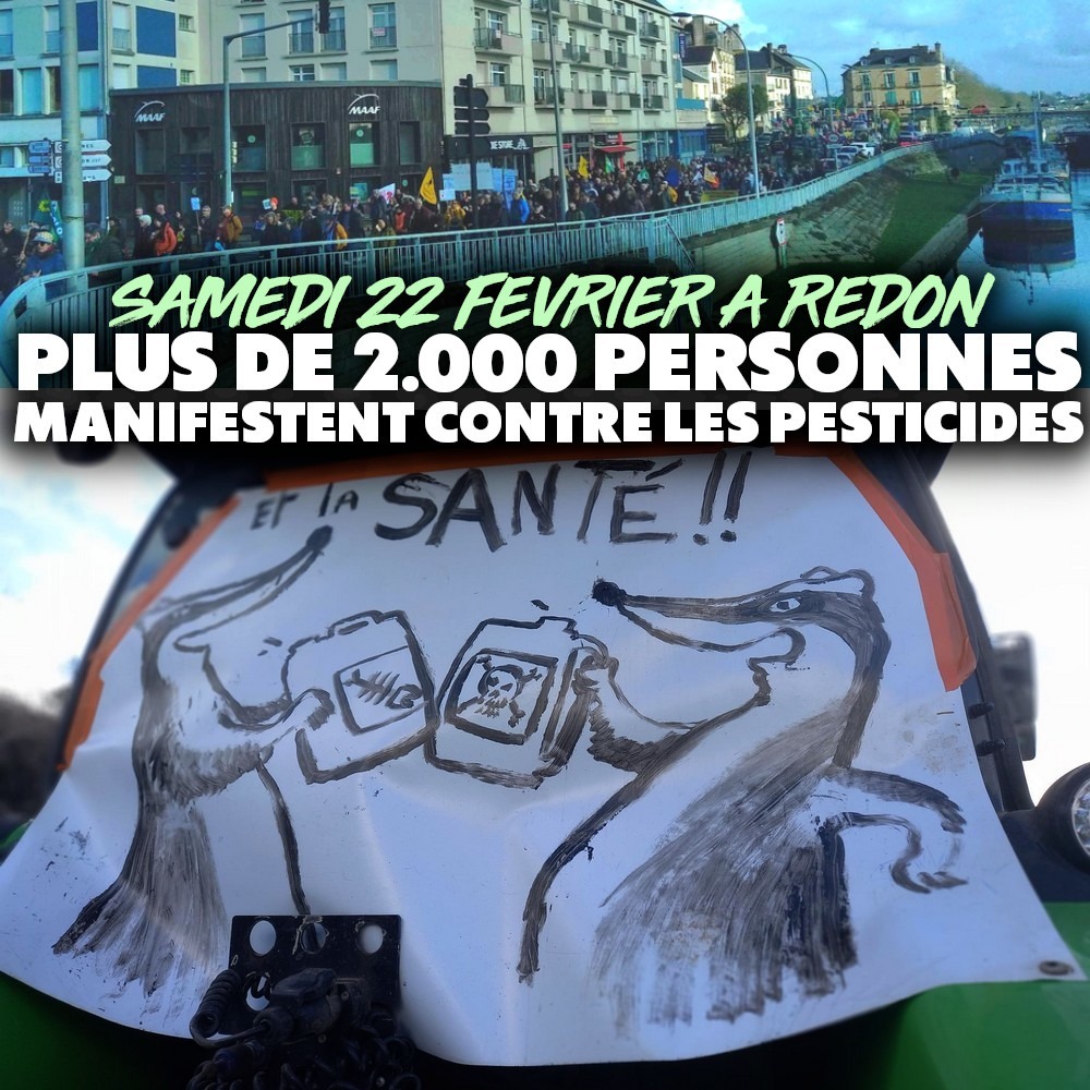 «Des poissons pas des poisons» : à Redon, des milliers de personnes manifestent contre les ...