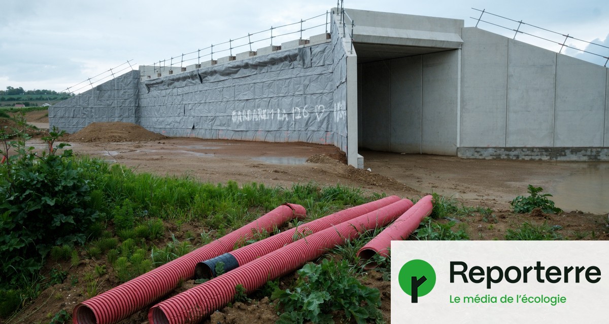 A69, la lutte continue contre les patriarches et les baronnies | OnePlanete