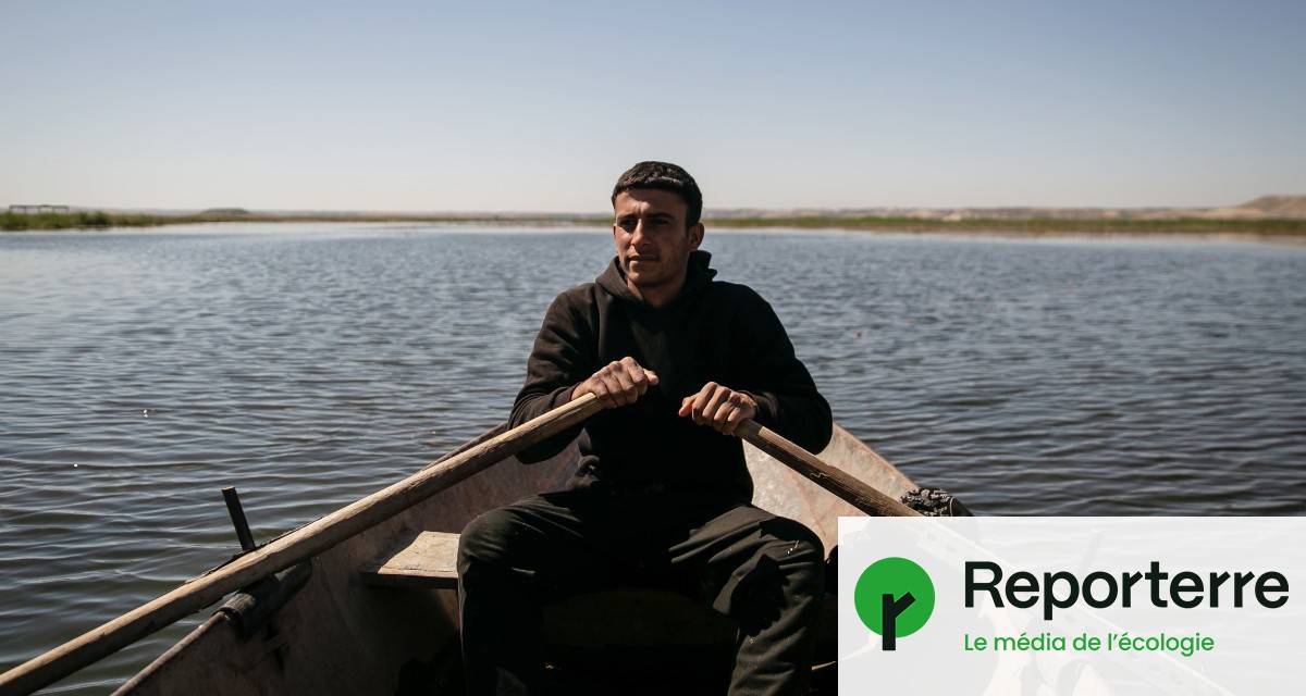 À Kobané, l'eau et la nature au cœur de la guerre en Syrie | OnePlanete