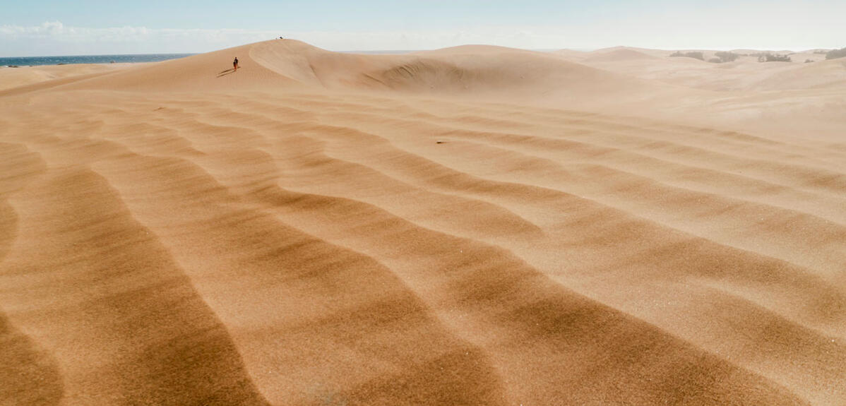 Le mystère des mini-dunes élucidé | OnePlanete