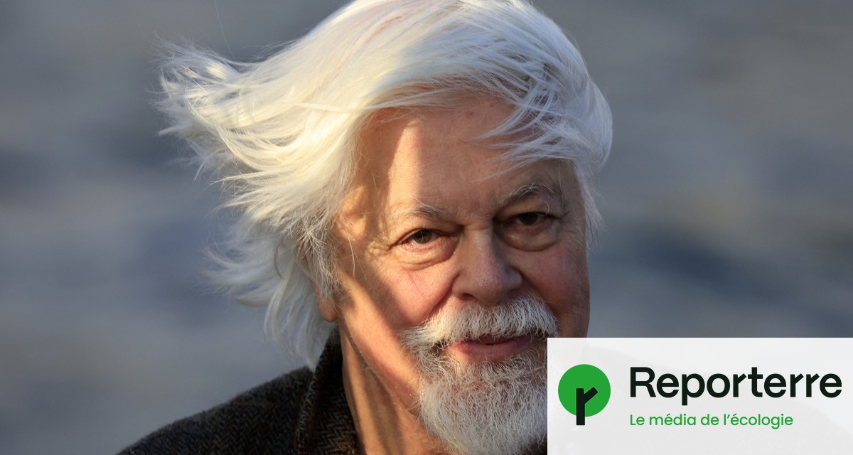Paul Watson n’est plus visé par une notice rouge d’Interpol | OnePlanete