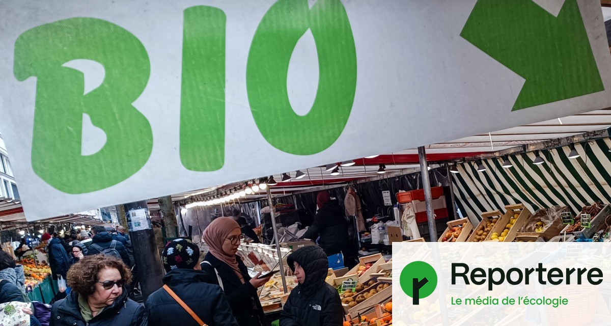 Le bio est-il condamné ? Un rapport dessine quatre futurs possibles ...