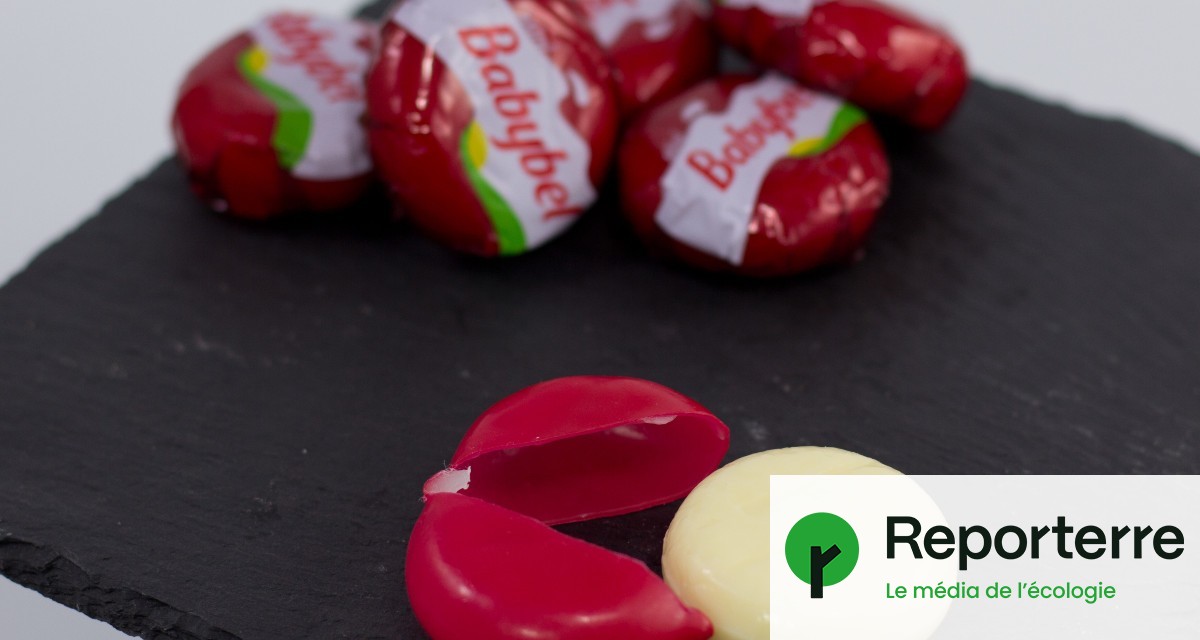 Babybel, Kiri… Les fromages pour enfants sont trop salés, gras ou ...