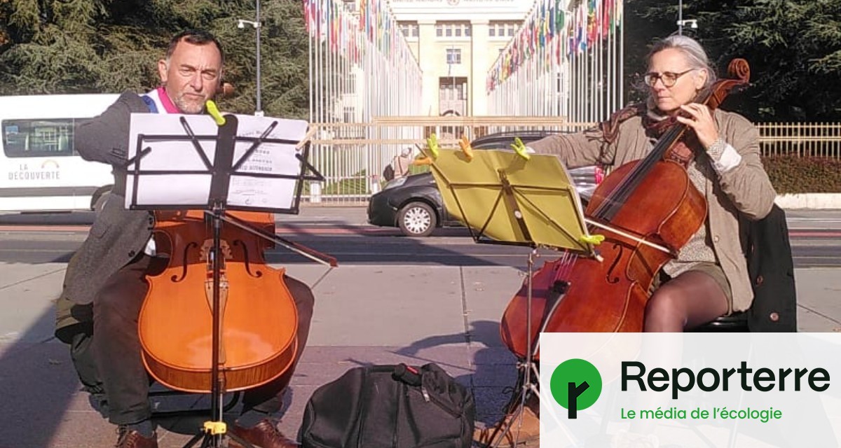 À l'ONU, les anti-JO sortent les violoncelles | OnePlanete