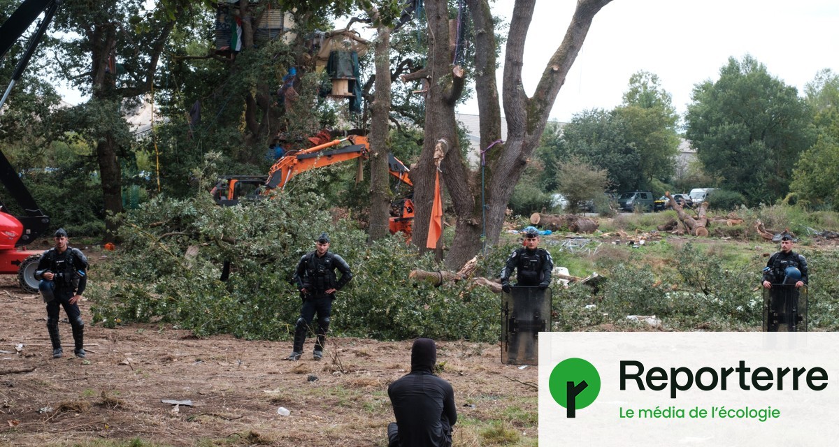 A69 : les raisons d'une lutte qui va perdurer | OnePlanete