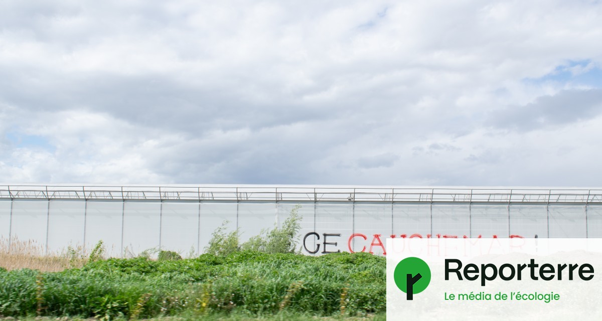 Pesticides interdits : prison ferme requise contre « le roi de la ...