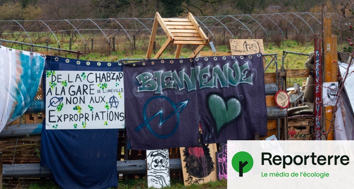 Reblochons et chauves-souris : une zad savoyarde contre l'autoroute ...