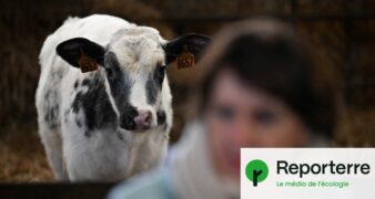 « On va crever avec ce modèle » : les 5 reculs majeurs de la loi d ...
